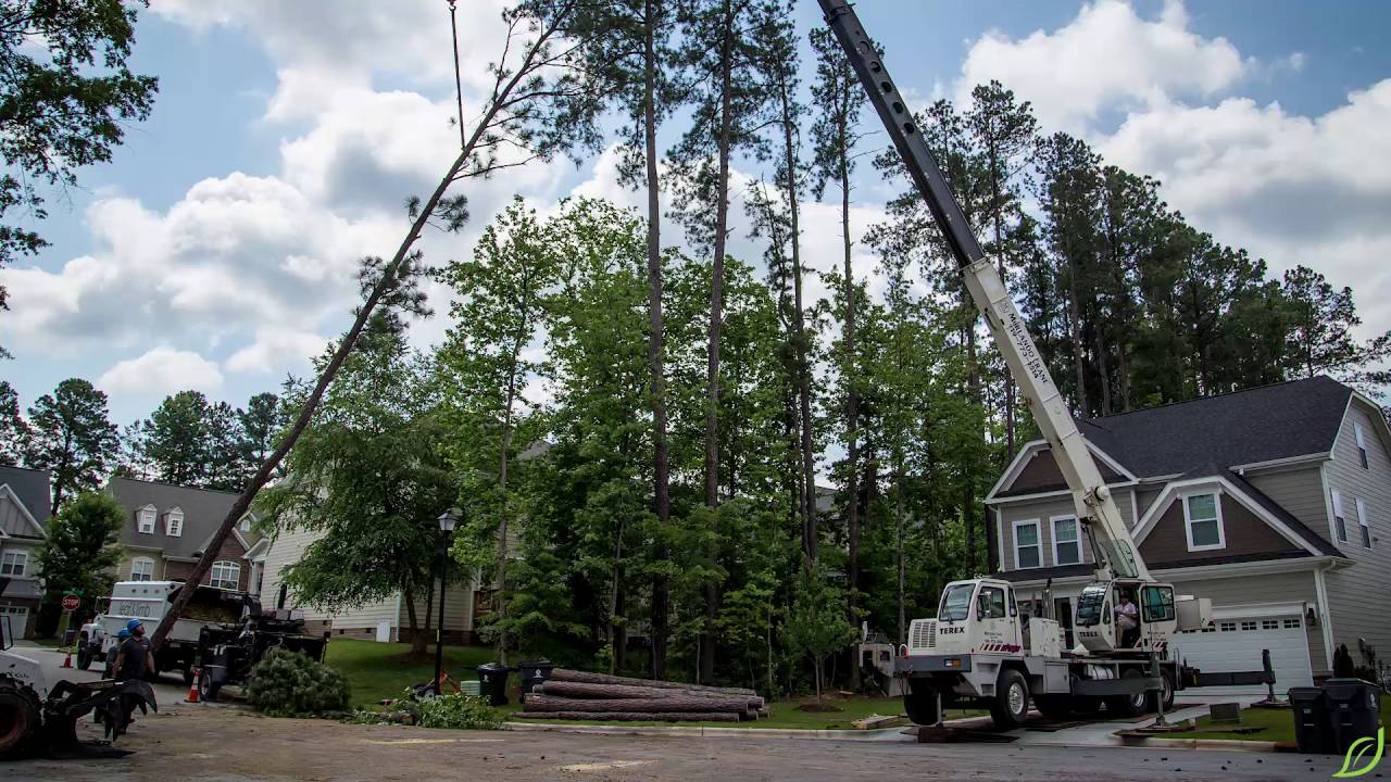 Crane Service - Erie Tree Trimmers | Pennsylvania