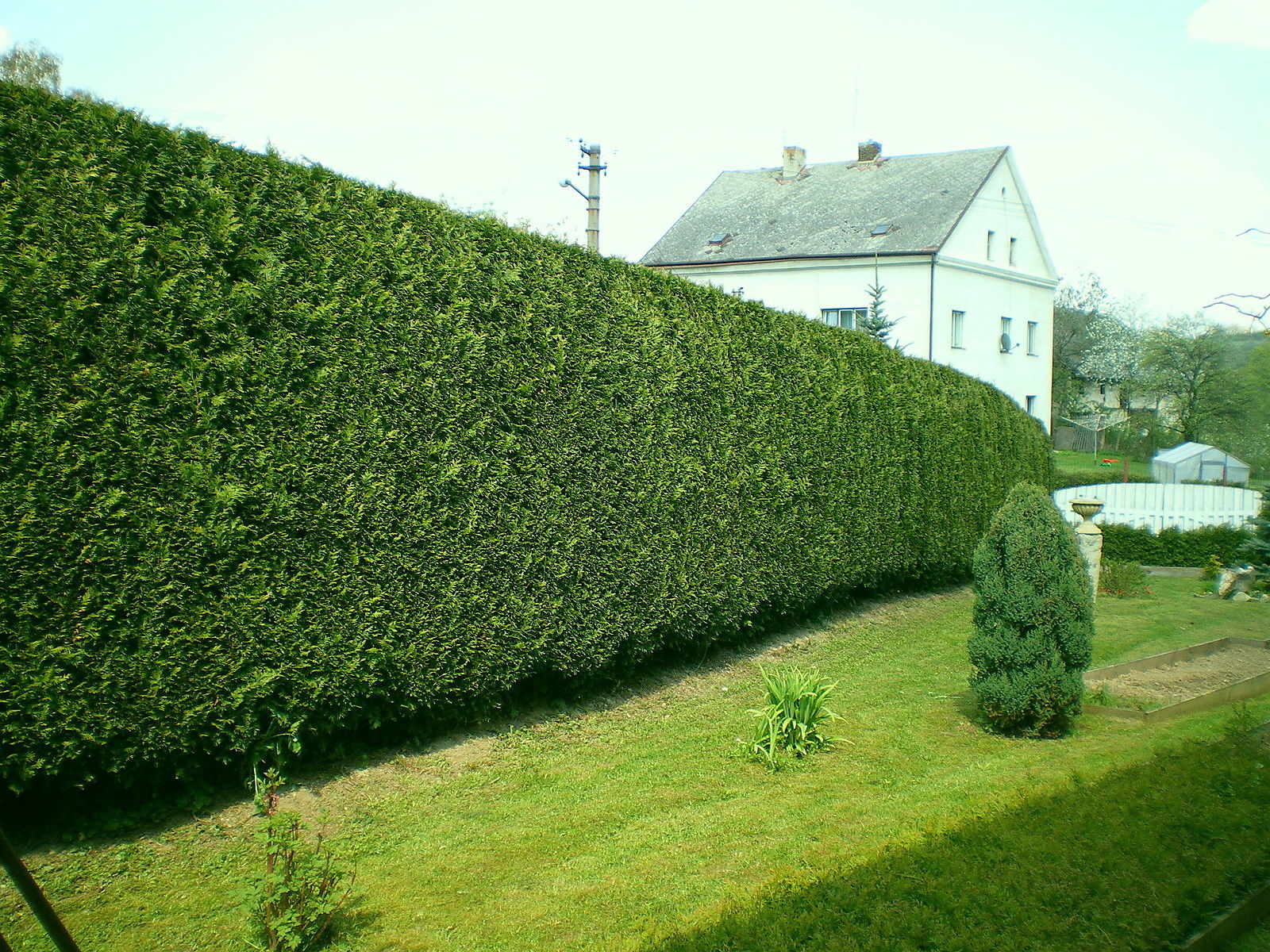 Shrub Trimming & Removal - Erie Tree Trimmers