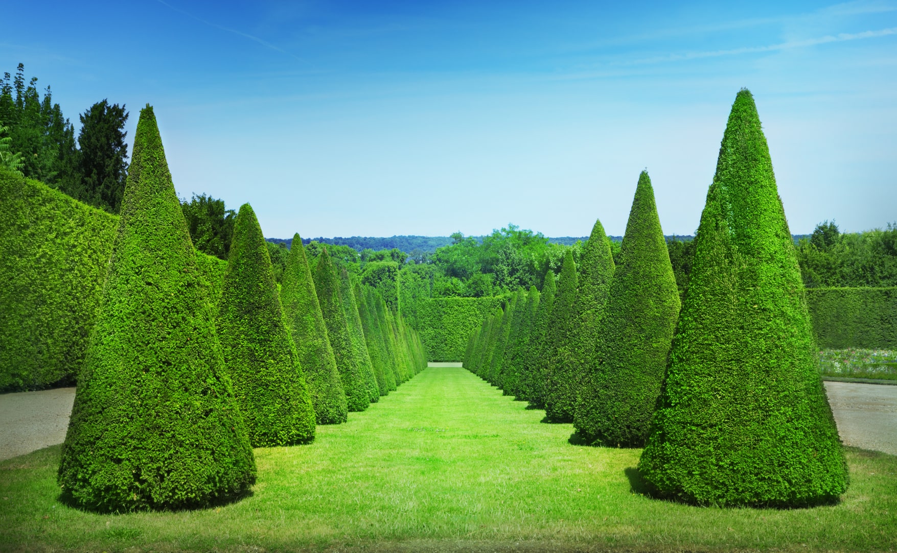 Blog - Erie Tree Trimmers